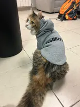 A M A Z I N G . My kitty looks so cute in this, super nice quality as ...