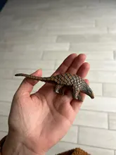 AliExpress Shopper | 18 Oct 2024