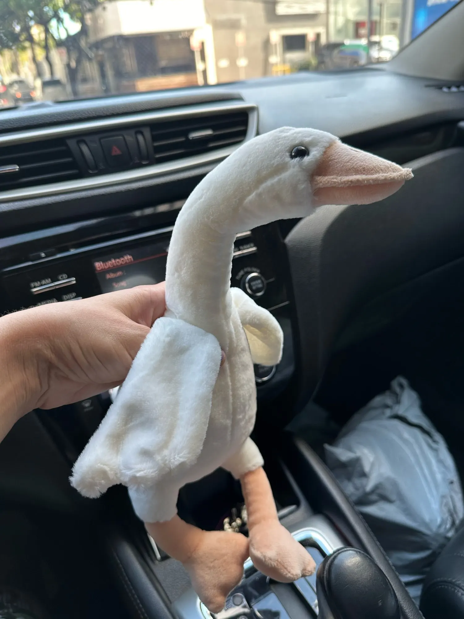 AliExpress Shopper | 08 Oct 2024