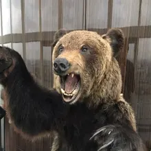 Color:with track box