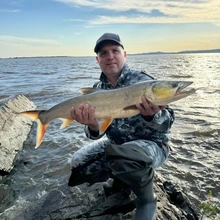 Color:black Ships From:China