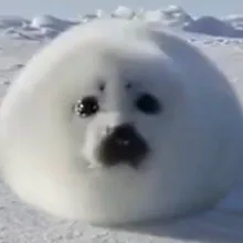 Color:Alien cat B Size:5 cm