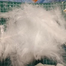 П***а | 06 Apr 2024