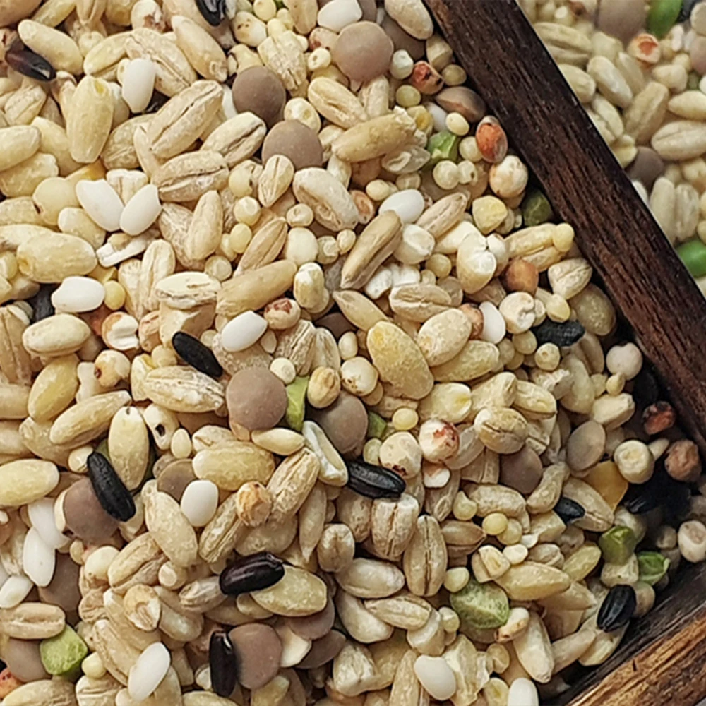 홈 제품 피드백