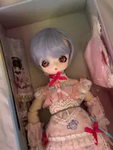 Customer Reviews (14)