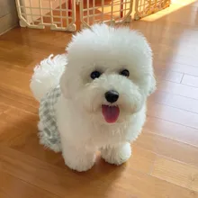 Color:Popcorn mini square TARP