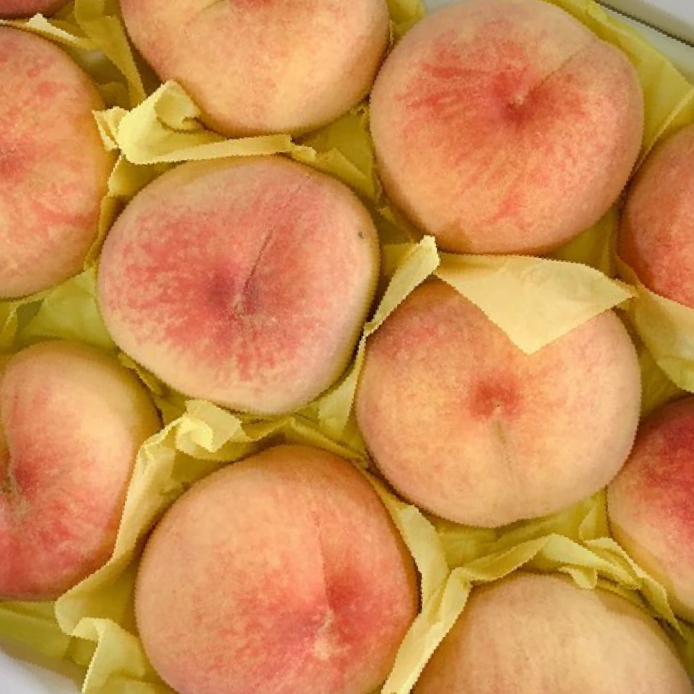 홈 제품 시즌오프 여름세일 피드백