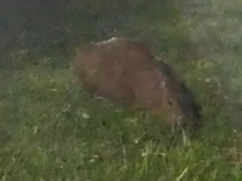 Very strong light, and perfect fit, I just didn't like the battery life ...