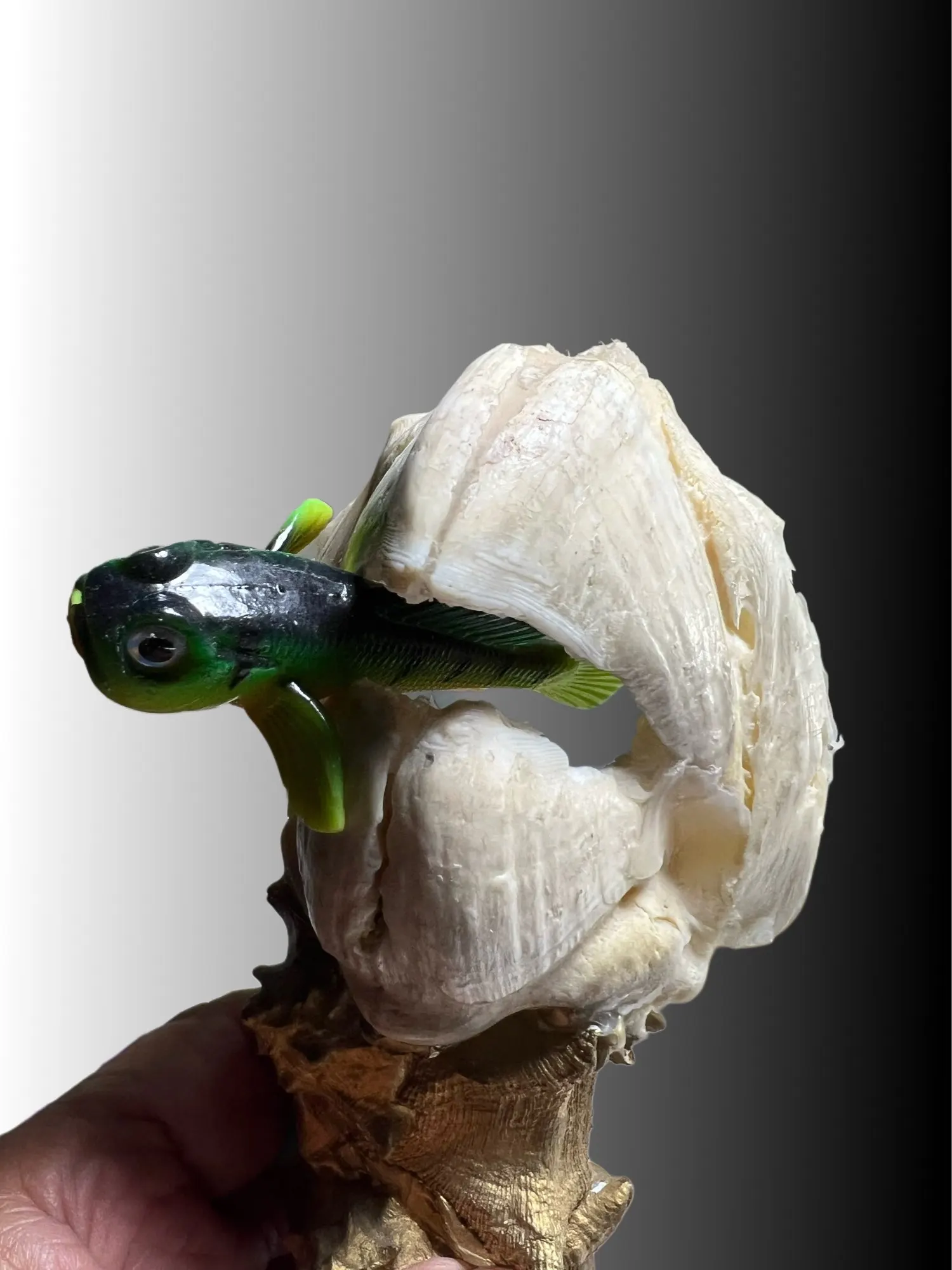 Page Not Found - Aliexpress.com