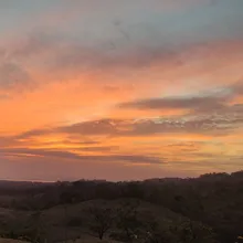 Color:wine-red Size:M