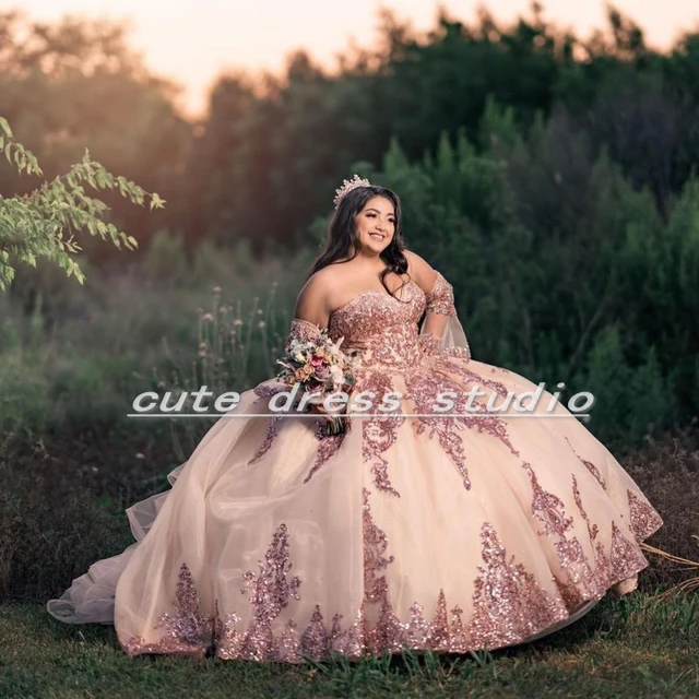 plus size quinceanera dresses | Dresses Images 2024