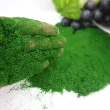 25g/Bag Artificial Grass Powder Sandbox Game Craft Decor Micro ...