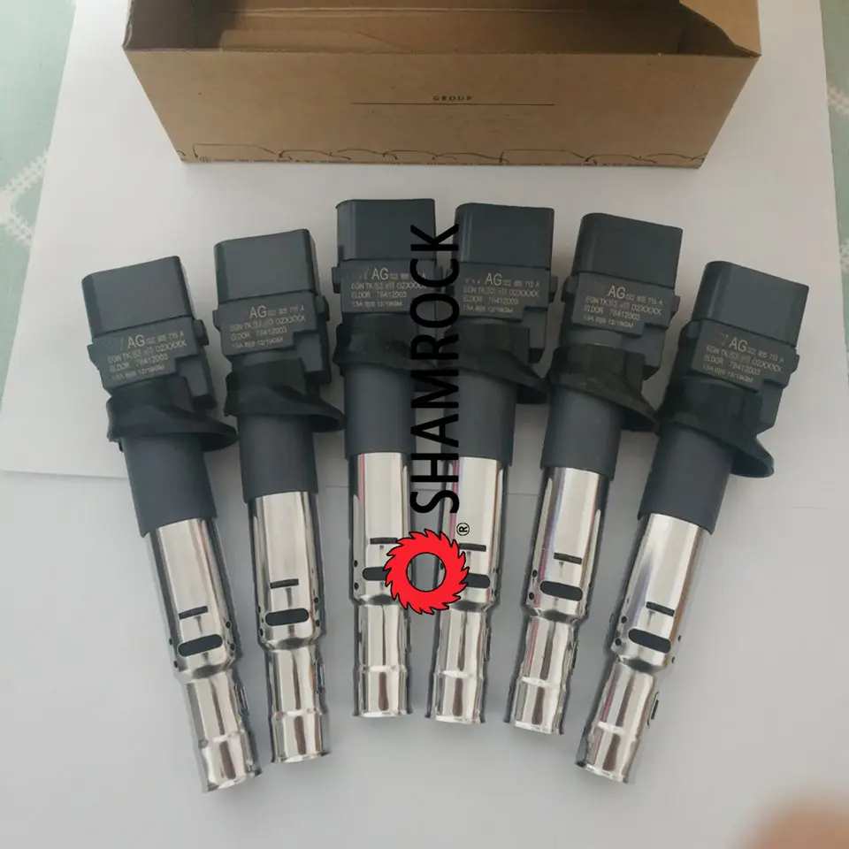 Original Audi, Vw, Skoda Ignition Coil - Direct Fit Oem 022905715A