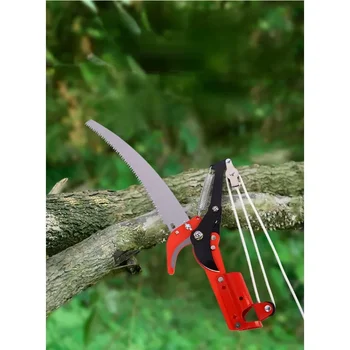 Tree branch scissors store