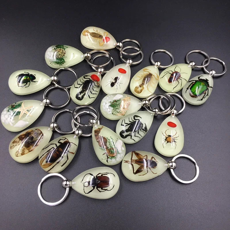 Interesting Life House Store