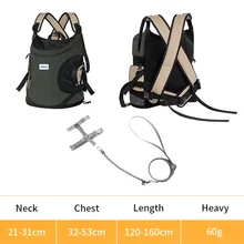 Gray and leash