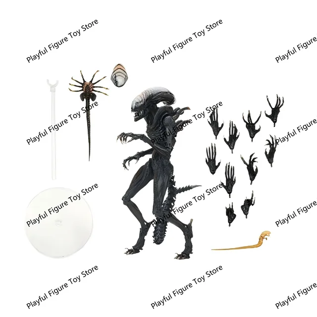 Página principal Productos Promo Vuelta al Cole Sugerencias