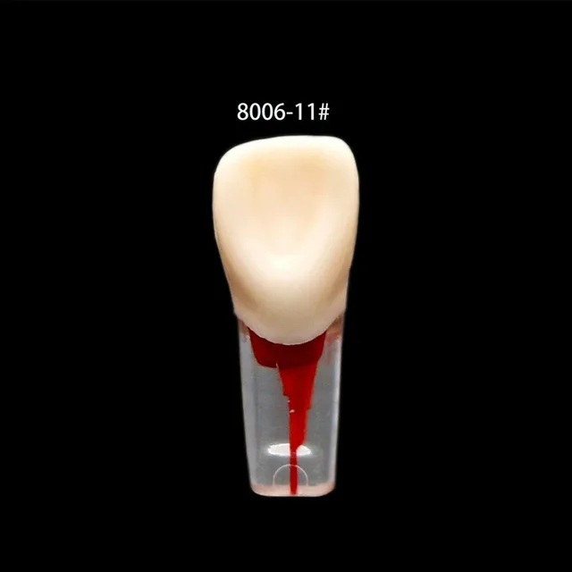 Store Home Products Back to School Feedback