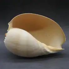 17-19CM