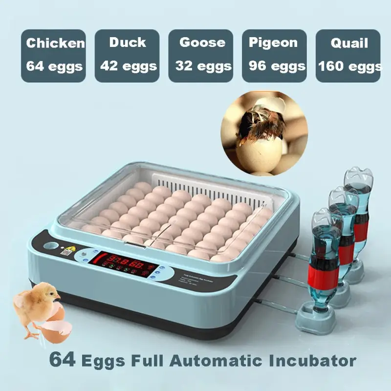 Smart 64-Egg Incubator For Chicken, Duck, Quail Eggs; Temperature-Controlled, Automatic.