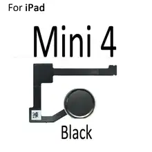 Mini 4 Black