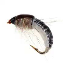 6PCSTrout Fishing Realistic Nymph Scud Fly Nymphing Artificial Insect ...