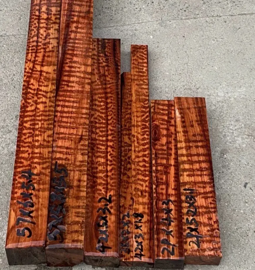 Eco-Friendly Snakewood Diy Logs, Customize Your Craft Today!