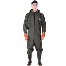 C1