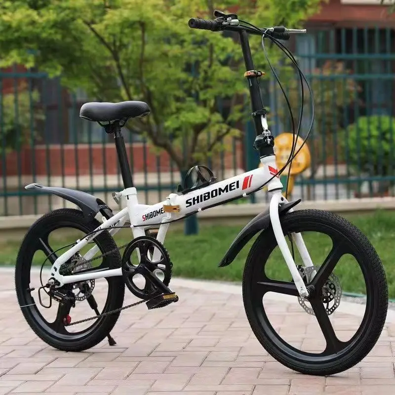20 Inch Variable Speed Disc Brake Folding Mountain Bike: A Real-World ...