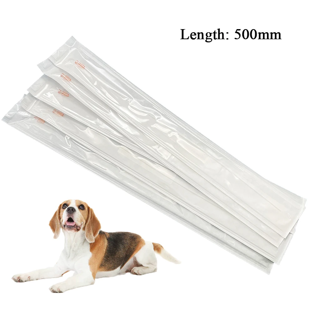 What Are the Best Urine Catheter Types for Small Pets? A Real-World ...