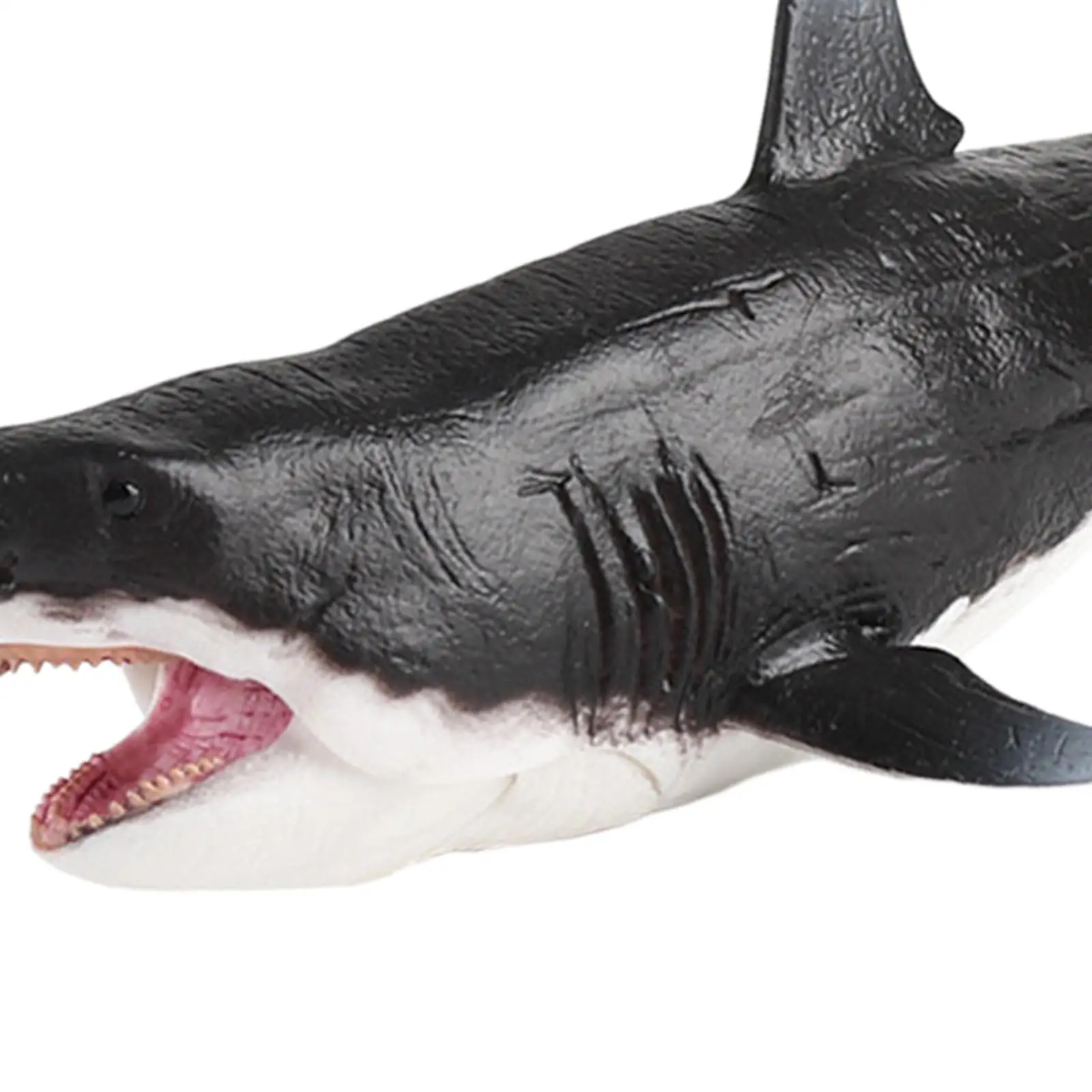 Megalodon Action Figure, Big Shark Fish Aquarium Figurine, Prehistoric ...