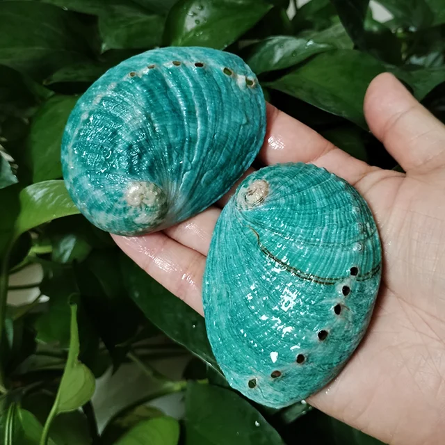 Store Home Products Back to School Feedback