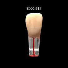 M8006-21