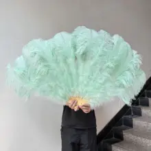 Handheld Big Red Ostrich Feather Fan 100CM&130CM Carnival Belly Dance ...