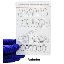 US $8.59 18% off