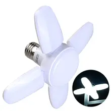 Only Fan Bulb