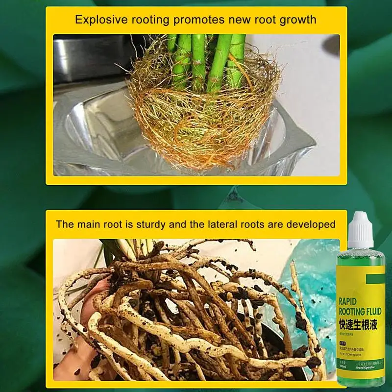 , Melhorador do crescimento vegetal, Enraizamento da planta, Solução de ...