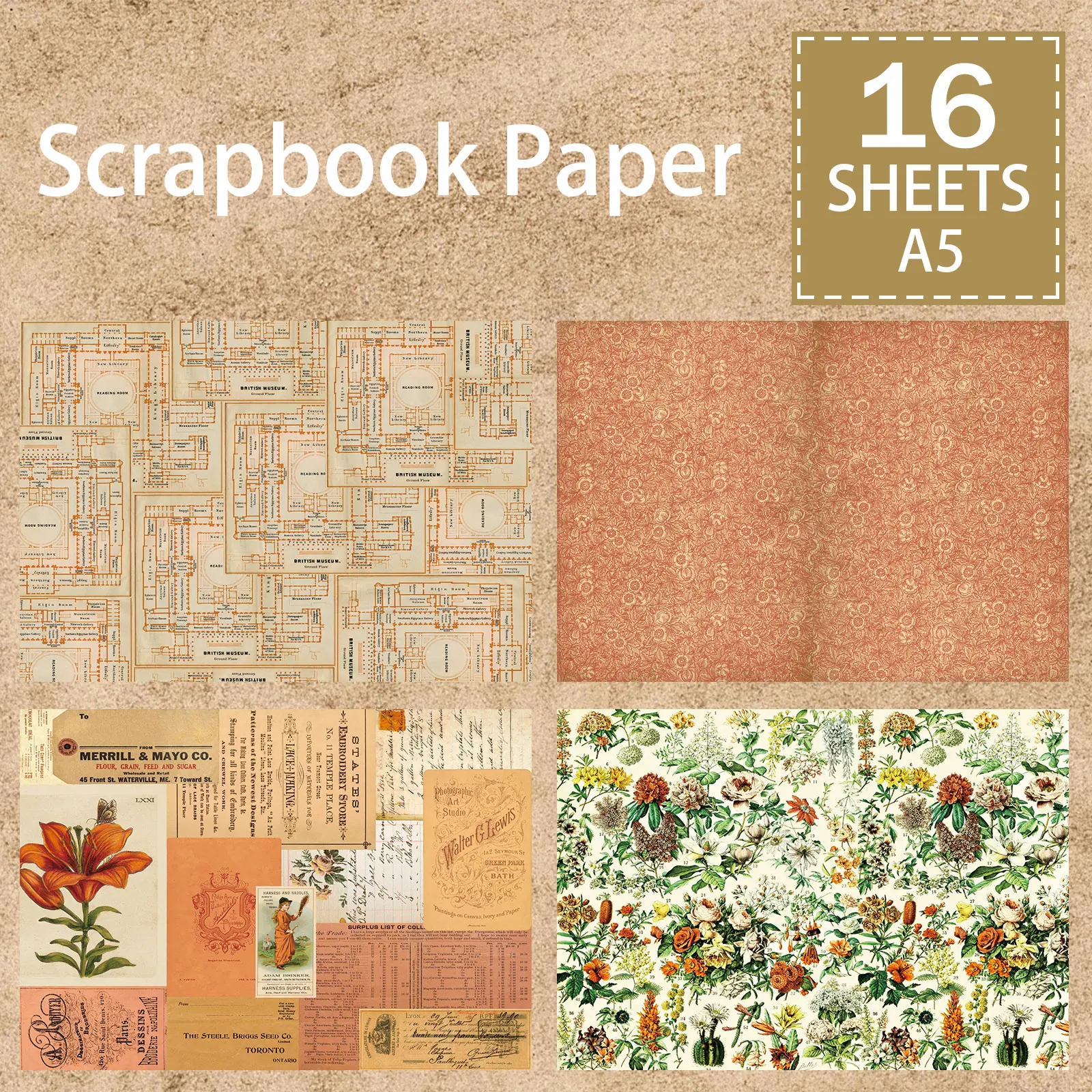 Comparativa de la medida de una hoja: ¿Cuál es el tamaño ideal para tu ...