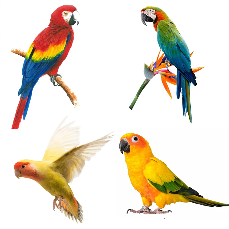 홈 제품 시즌오프 여름세일 피드백