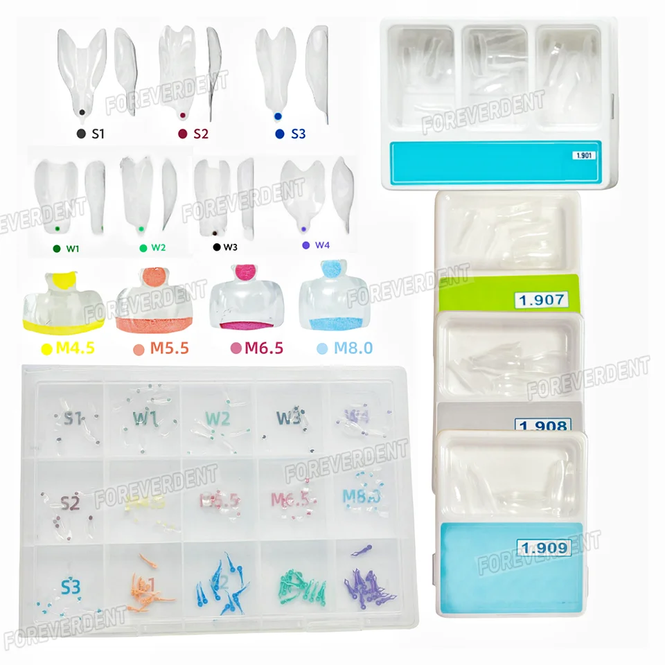 Dental Transparent Clear Matrix Anterior Posterior Restoration BT Bow ...
