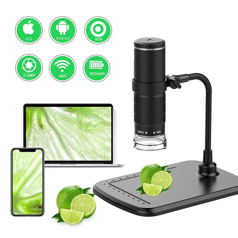 US $24.20