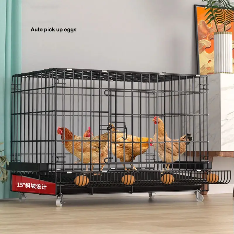 Retail