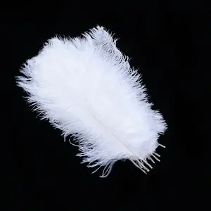 Ostrich Feather Buy ostrich feather with free shipping on AliExpress