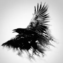 Color:Red Ships From:CHINA