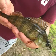 Color:32GB RAM 1TB SSD Bundle:C3808 4x 10G SFP