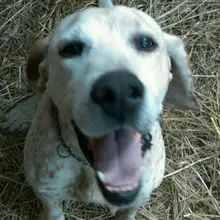 Color:4P 400V Size:63A