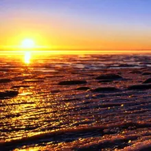 Color:Black Ships From:CHINA