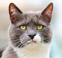 Color:Blue Ships From:CHINA