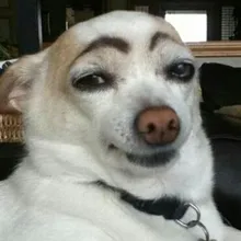 RGB Support:Fixed Color Blade Color:WHITE Color:ICE400SE