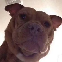 Already tried to retrieve film from.a roll.i accidentally rerolled. Great!